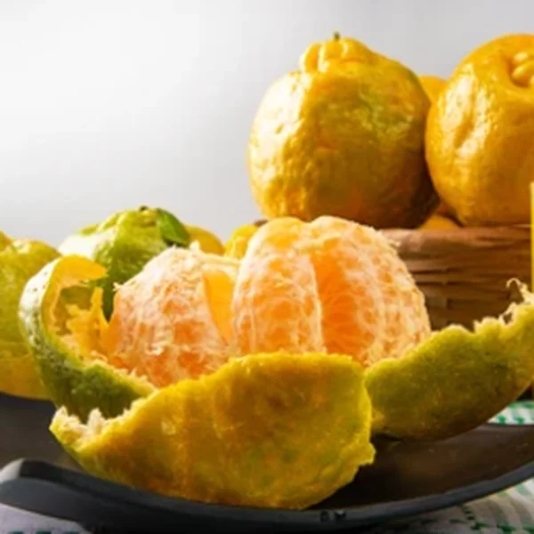 Muda de Tangerina Ponkan Enxertada - Mercado das Plantas Santa Tereza